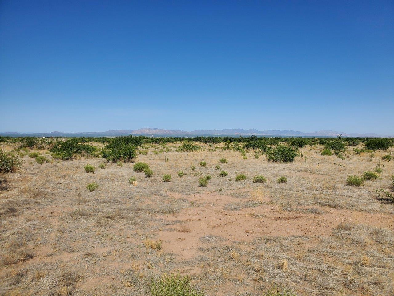 Own this 2.5 acre piece of Sonoran Desert property east of Elfrida, AZ