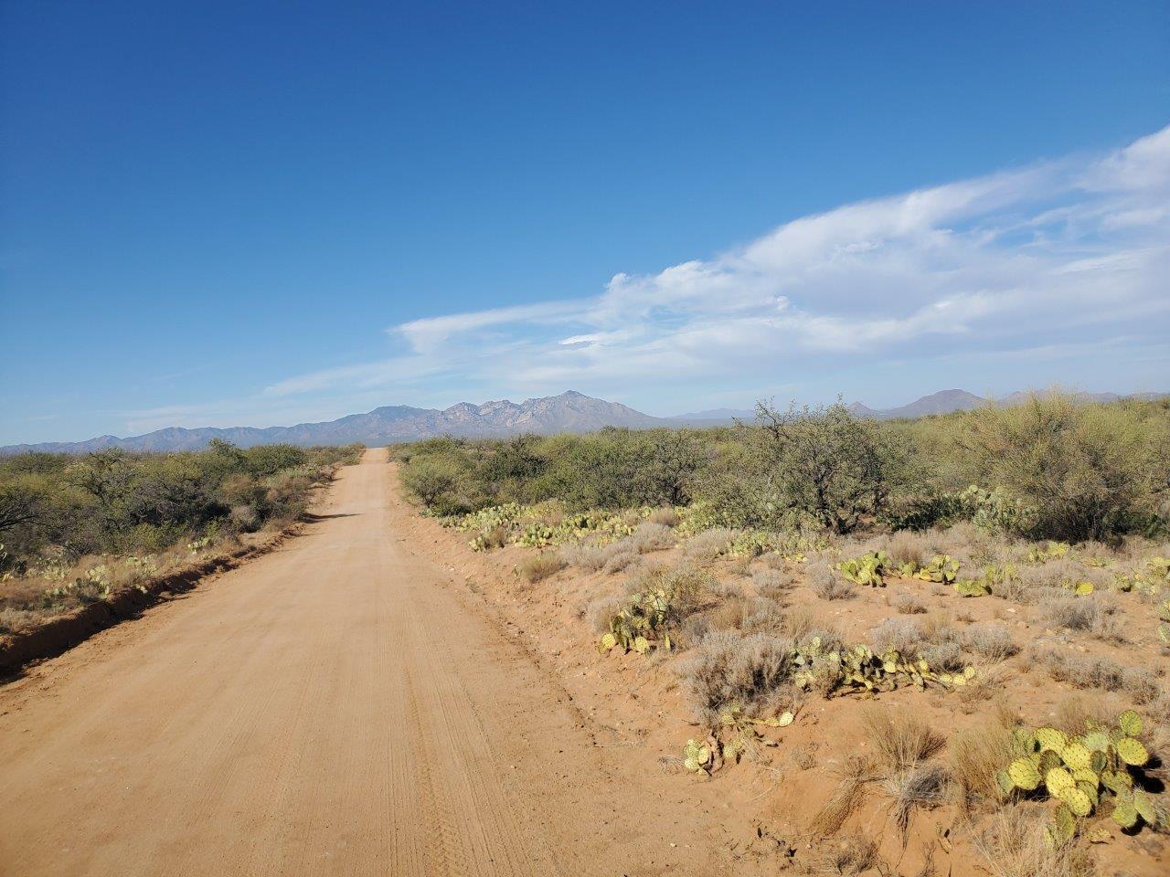 Enjoy this rural desert setting in Diamond Bell Ranch