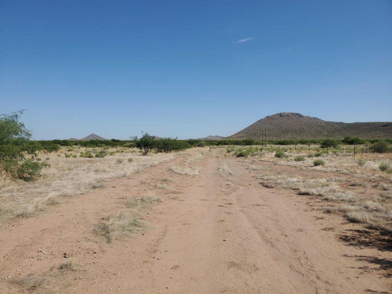 Own this 2.5 acre piece of Sonoran Desert property east of Elfrida, AZ